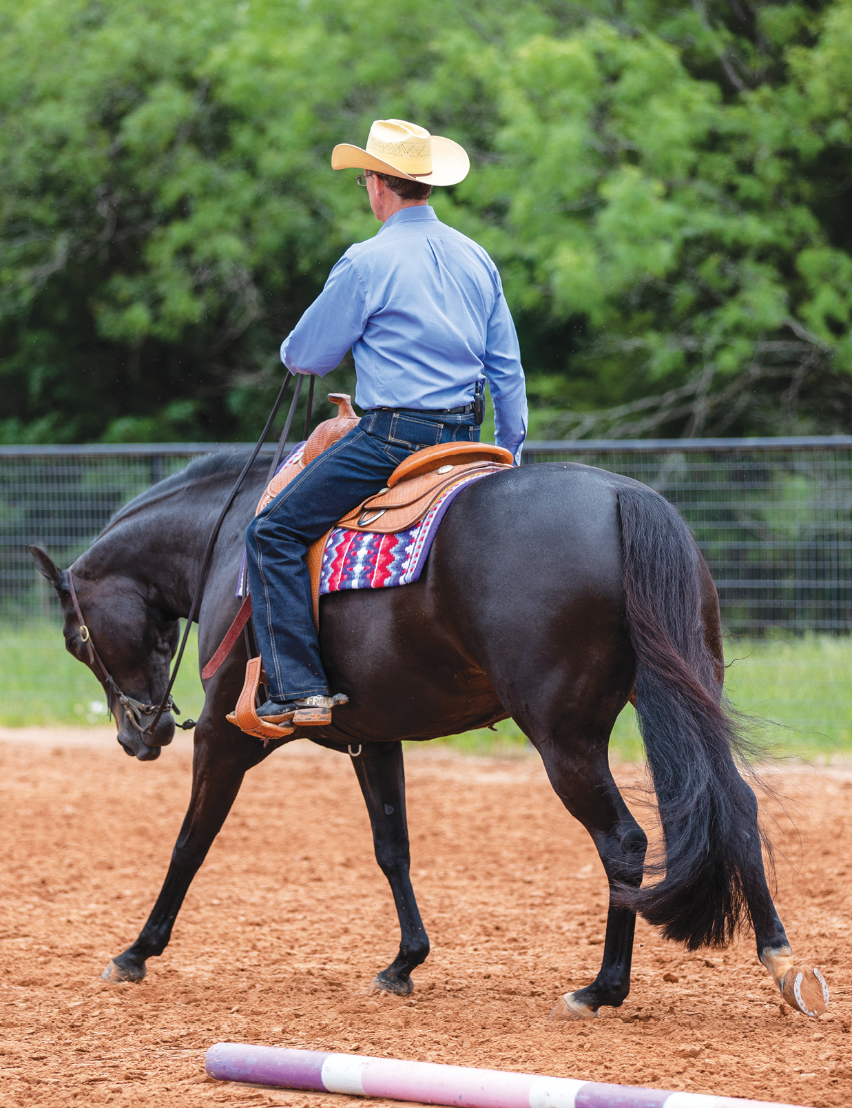 Use Poles to Help in Western Riding