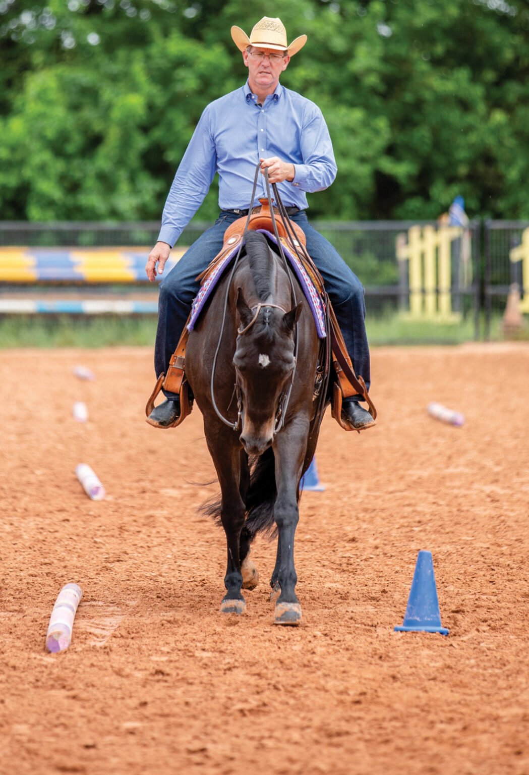 Use Poles to Help in Western Riding