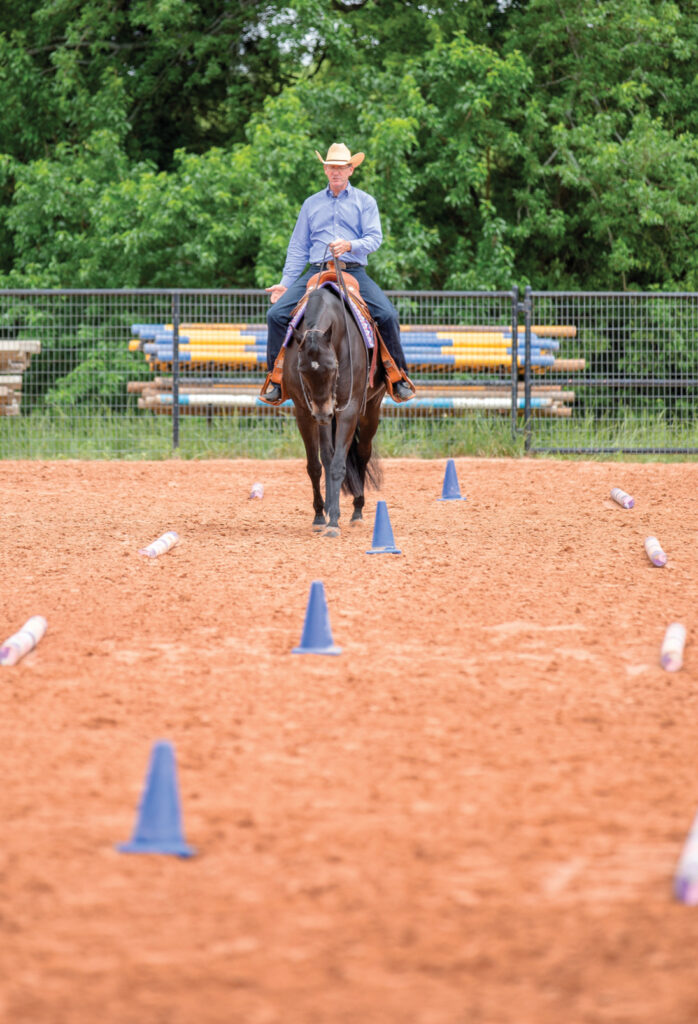 Use Poles to Help in Western Riding