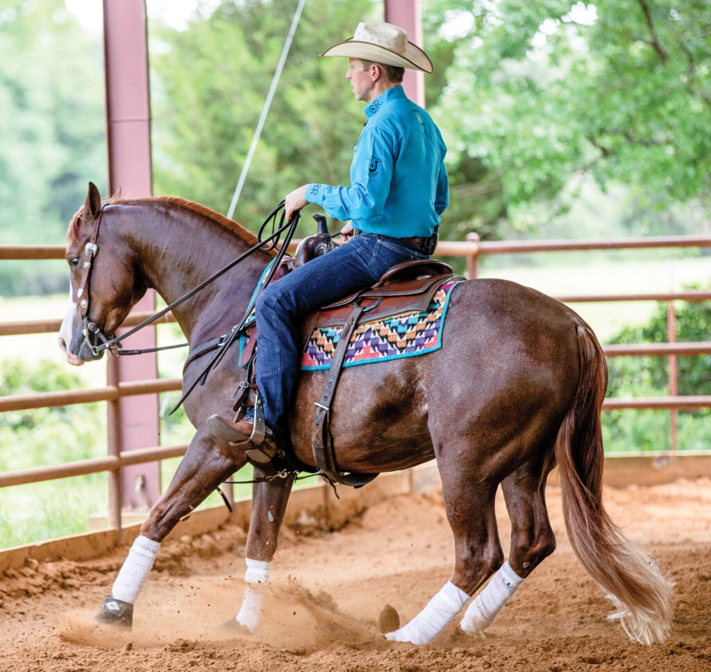 The Importance of Fencing - Horse and Rider
