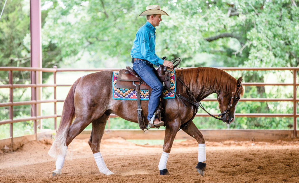 The Importance of Fencing - Horse and Rider