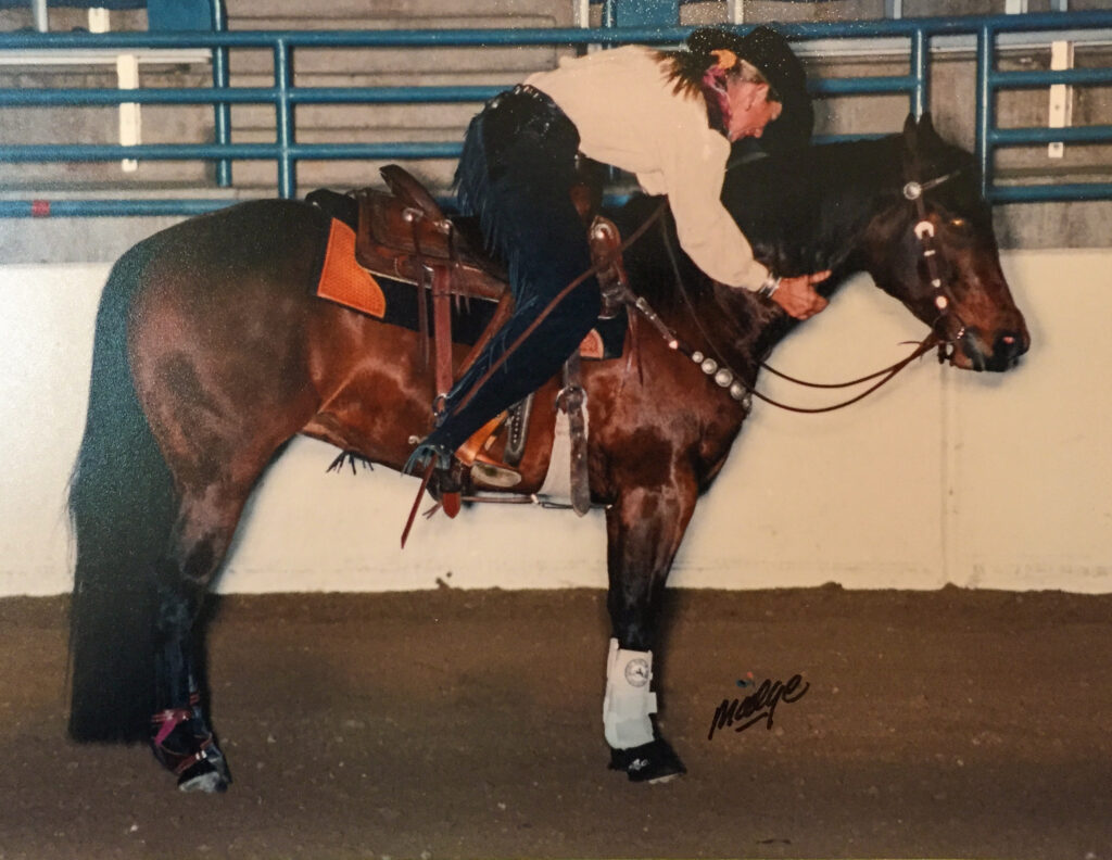 Magical Lena: Reined Cow Horse Dam