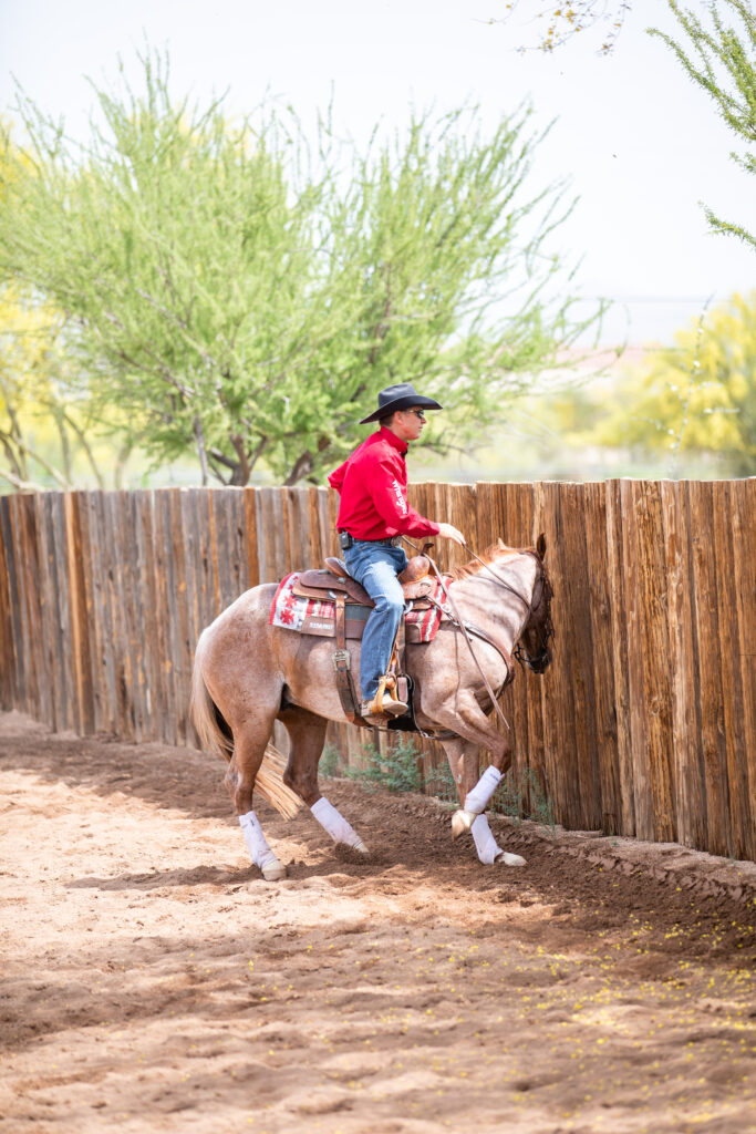 4 Ways to Improve Your Stop - Horse and Rider