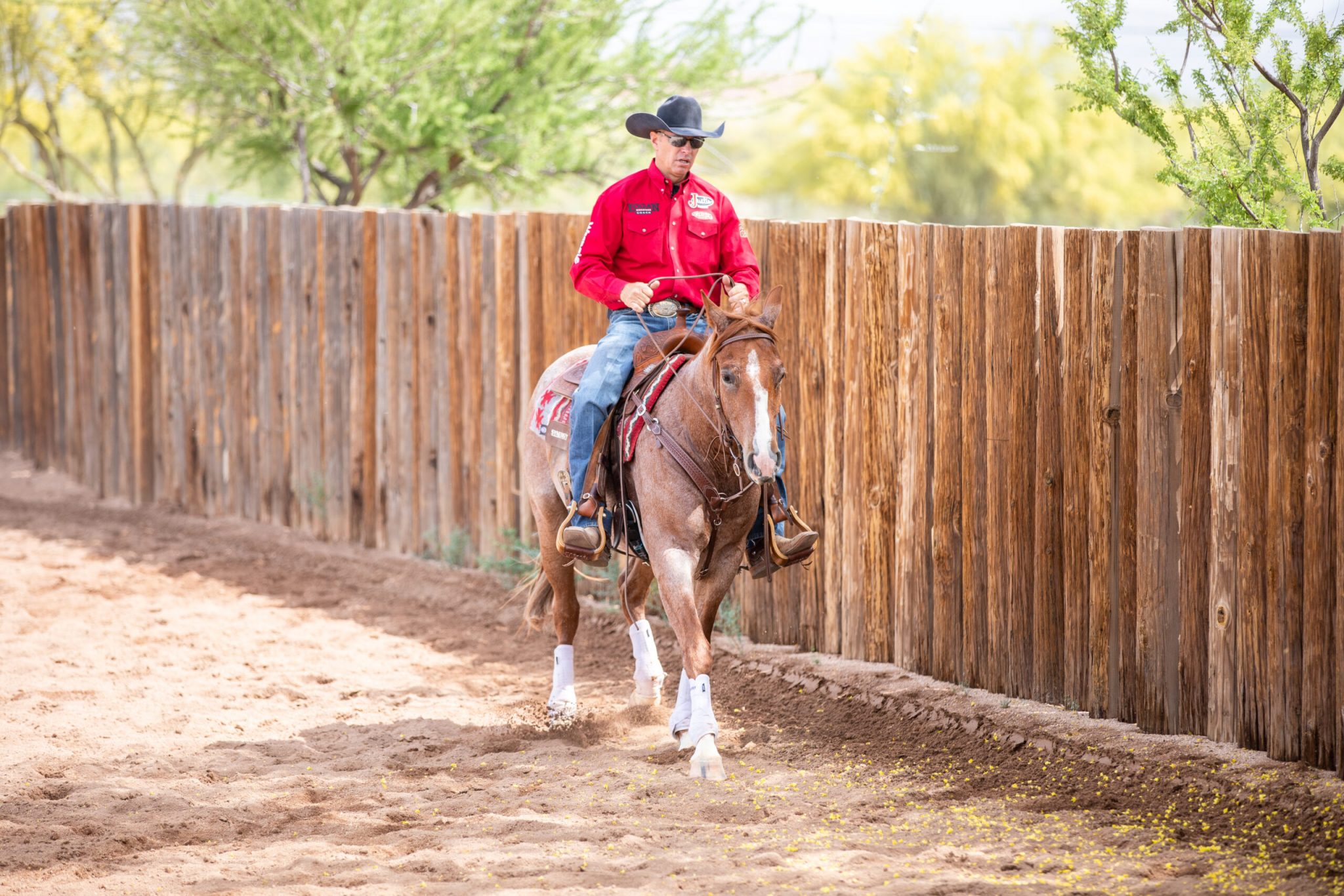 4 Ways to Improve Your Stop - Horse and Rider