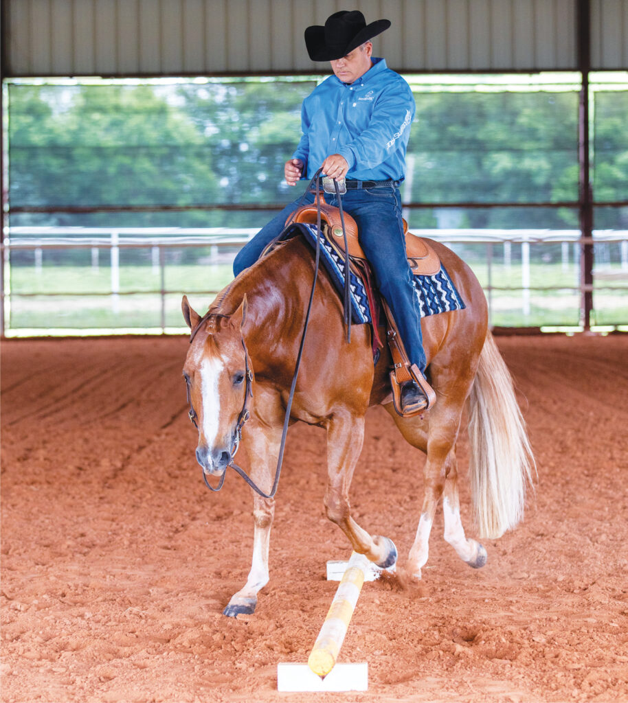 Practice Trail with Just One Pole - Horse and Rider