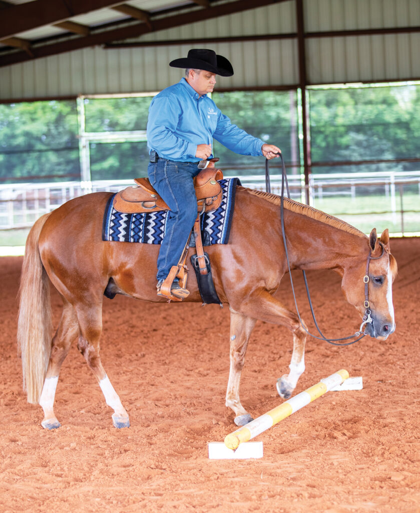 Practice Trail with Just One Pole - Horse and Rider