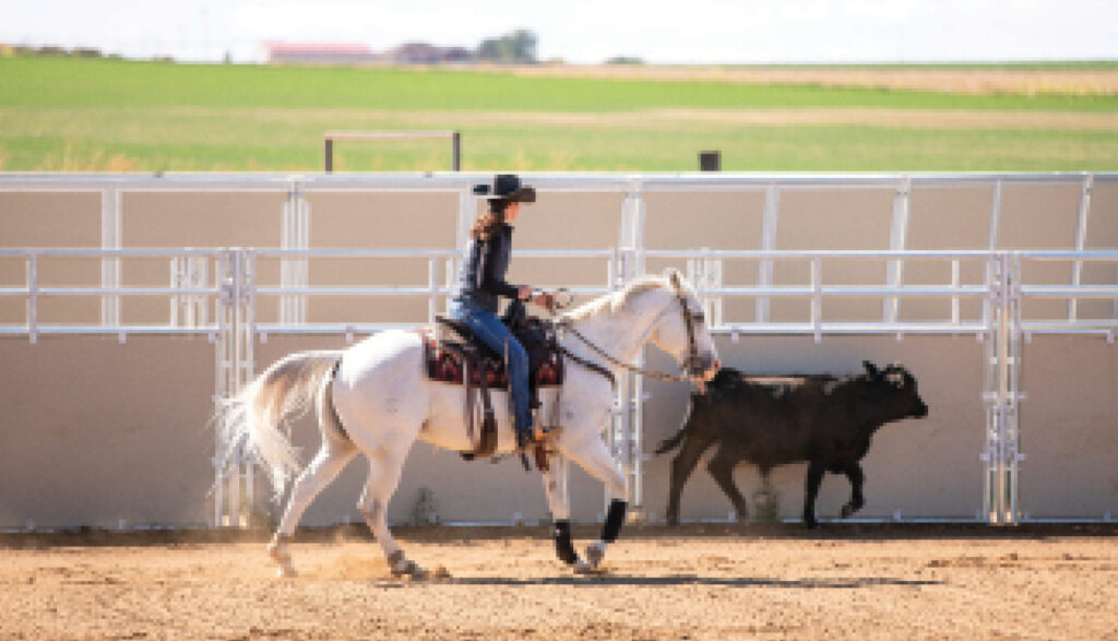 Versatility Ranch Horse Events - Horse and Rider