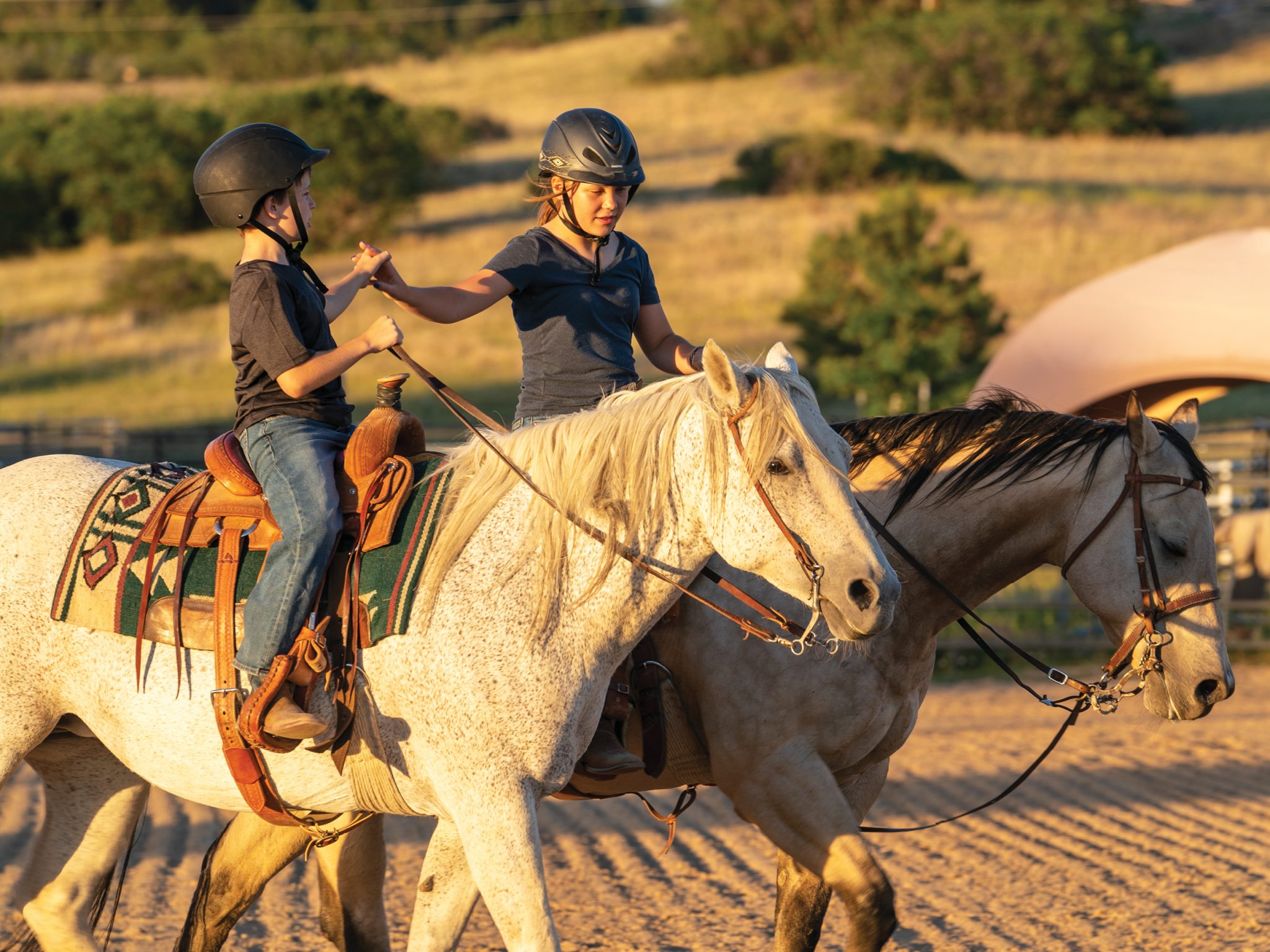 The Riding Family - Horse and Rider