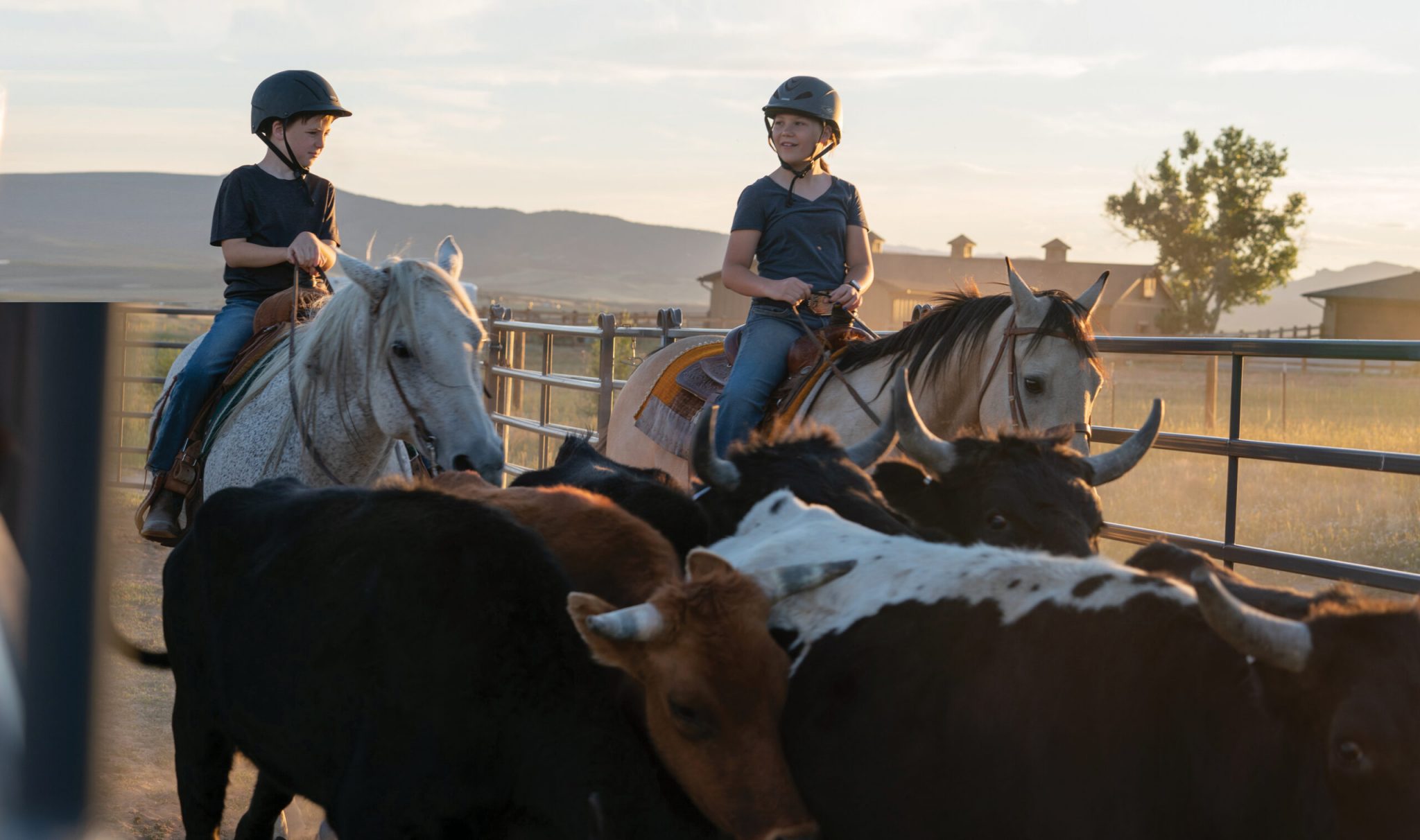The Riding Family - Horse and Rider