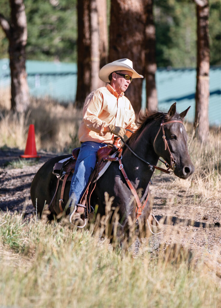 Taking Trail to the Extreme - Horse and Rider