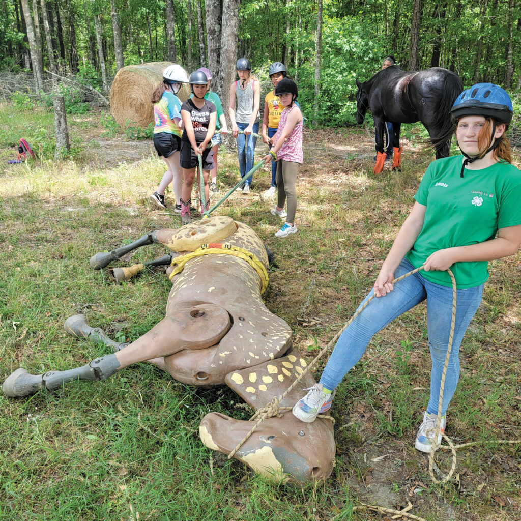In Case of Emergency - Horse and Rider