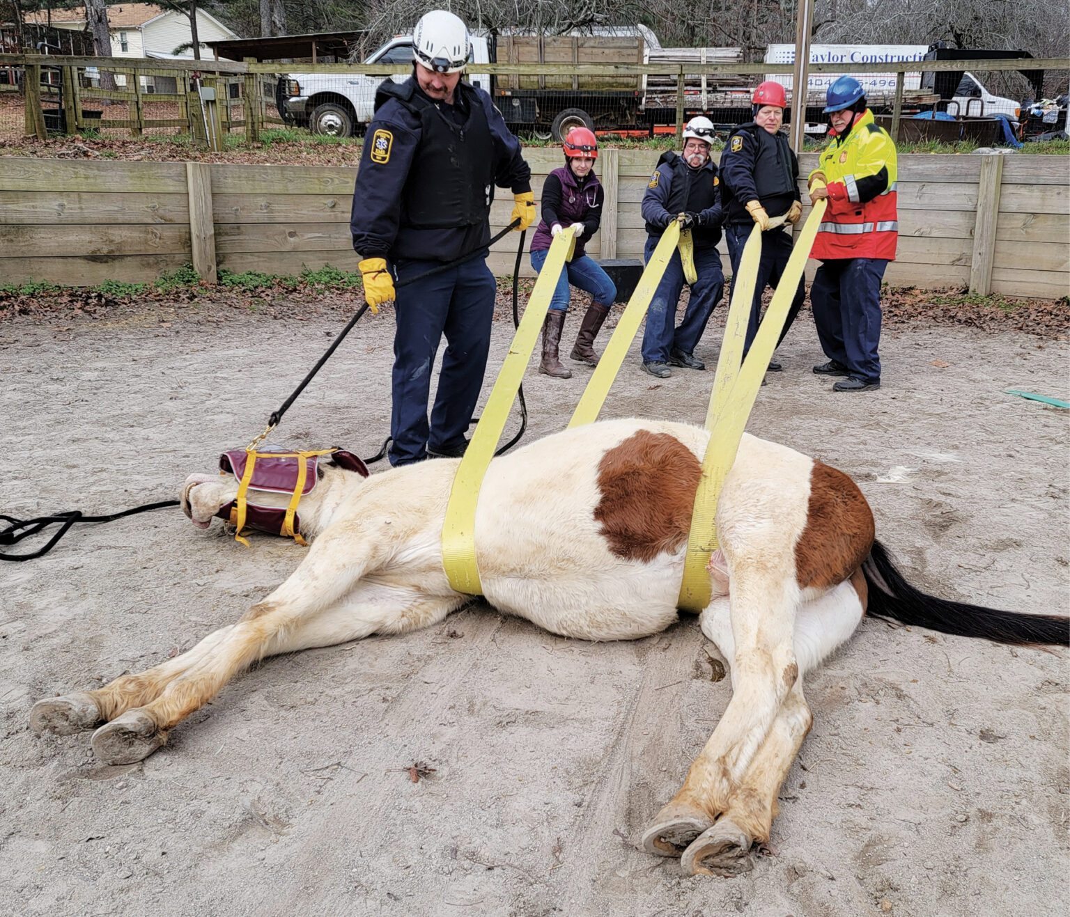 In Case of Emergency - Horse and Rider