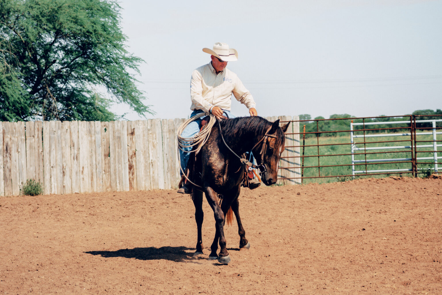 Rhythms and Routines - Horse and Rider