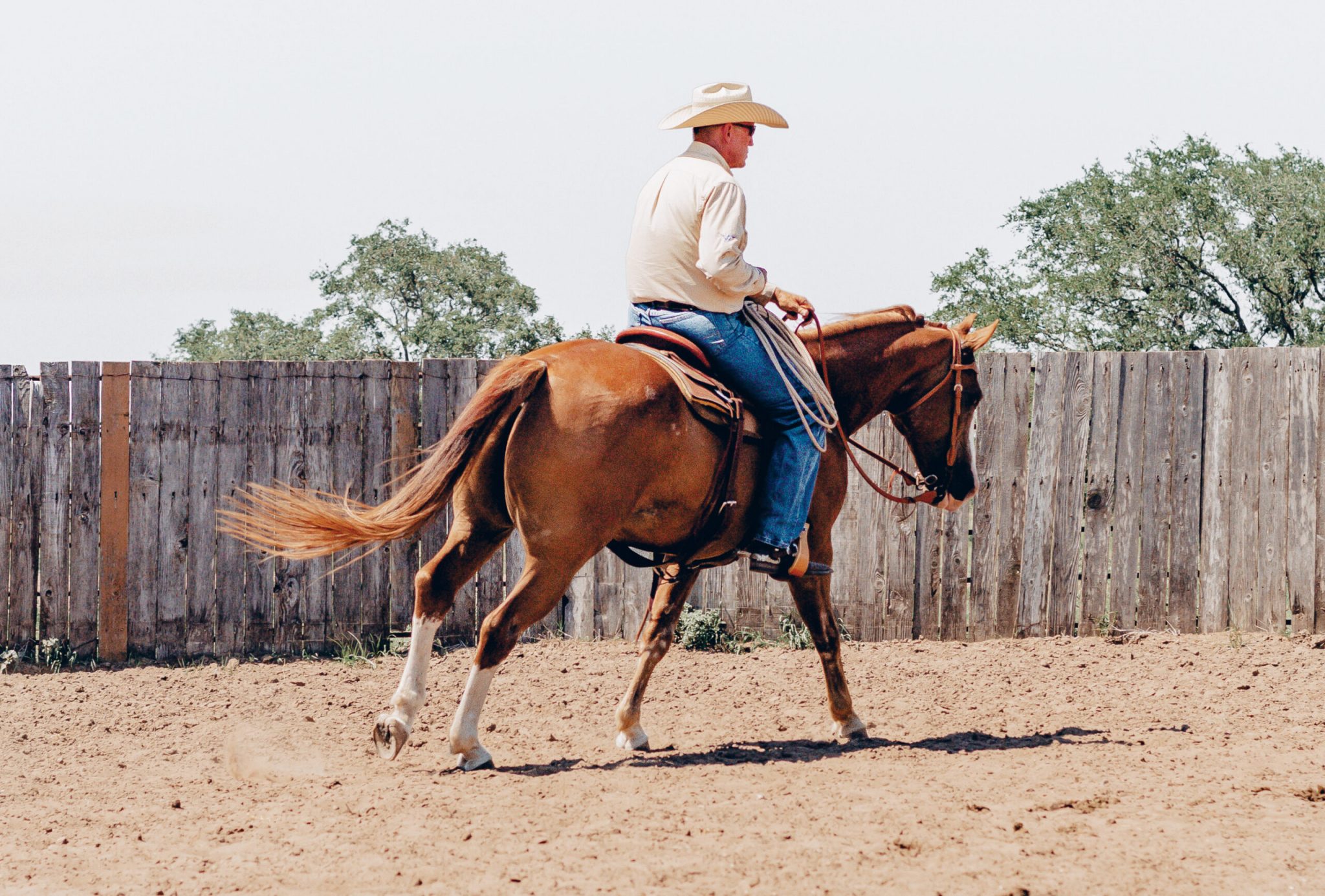 Rhythms and Routines - Horse and Rider
