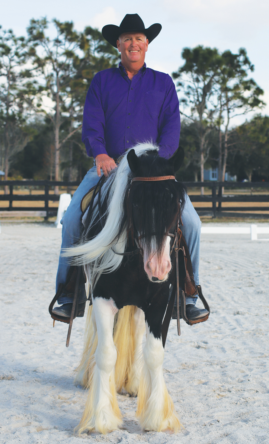 What's With the Gypsy Vanners? - Horse and Rider