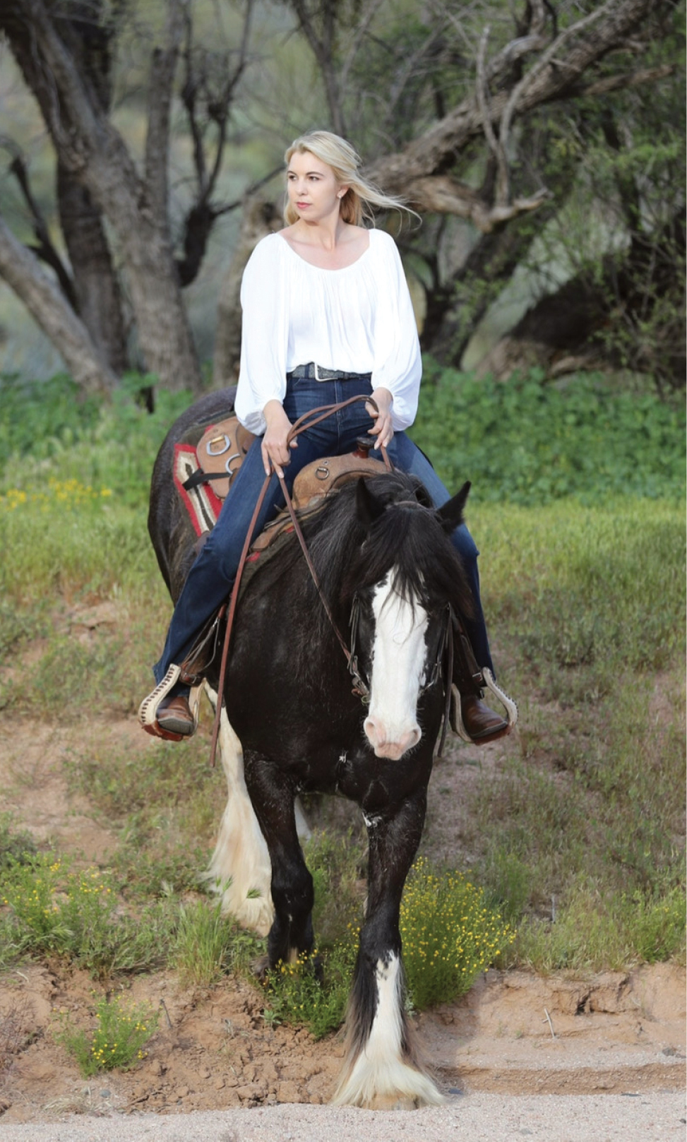 What's With the Gypsy Vanners? - Horse and Rider