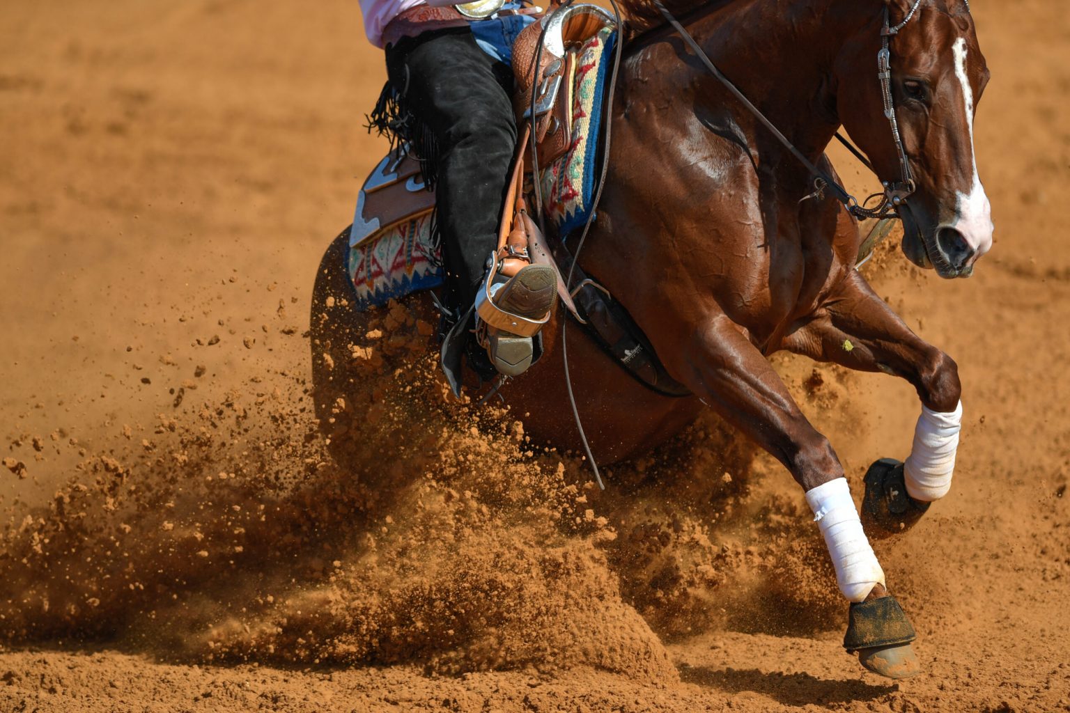 Noisy Joints? Here's What it Means - Horse and Rider