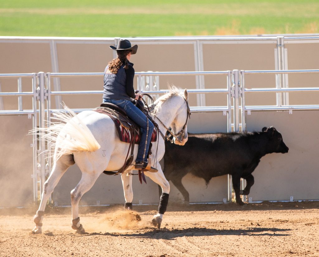 The Physics of Cow Work - Horse and Rider