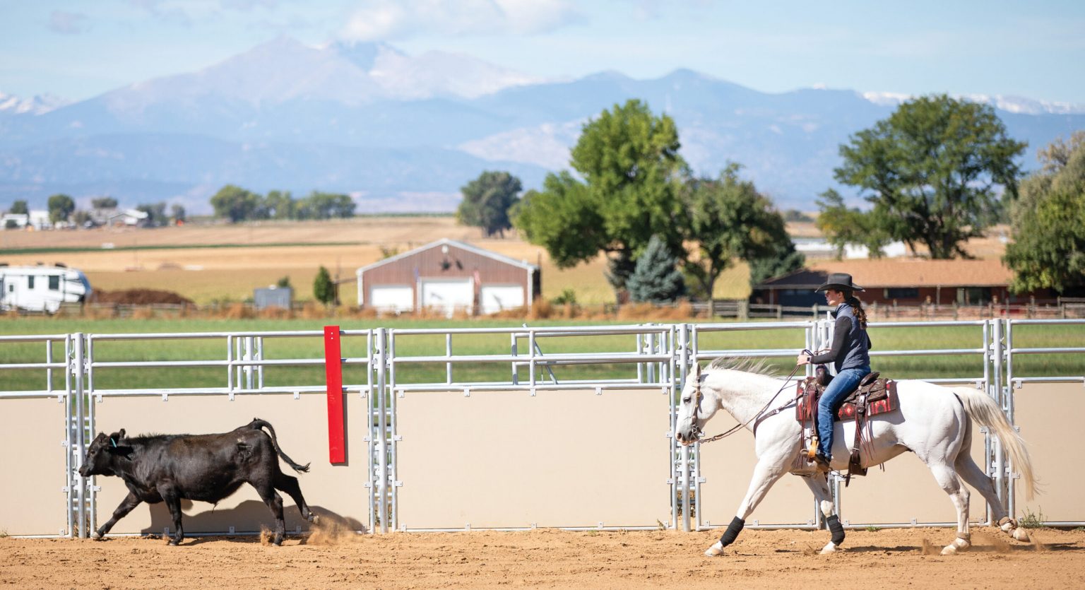 The Physics of Cow Work - Horse and Rider