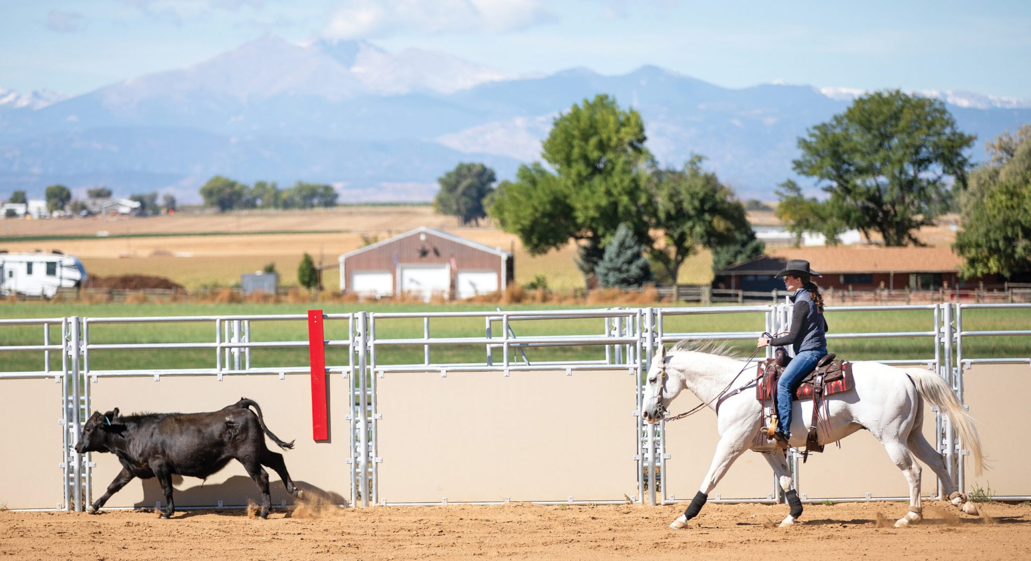 The Physics of Cow Work - Horse and Rider