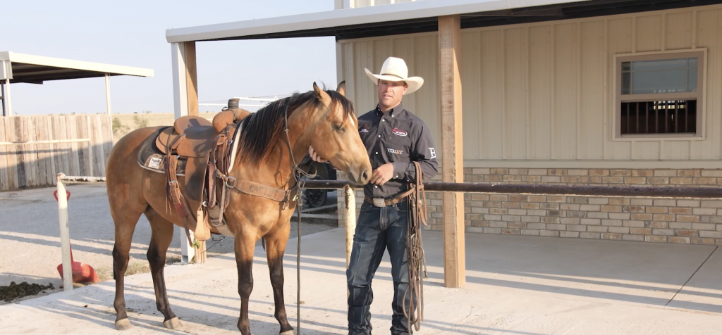 Bridling Fundamentals with Miles Baker - Horse and Rider