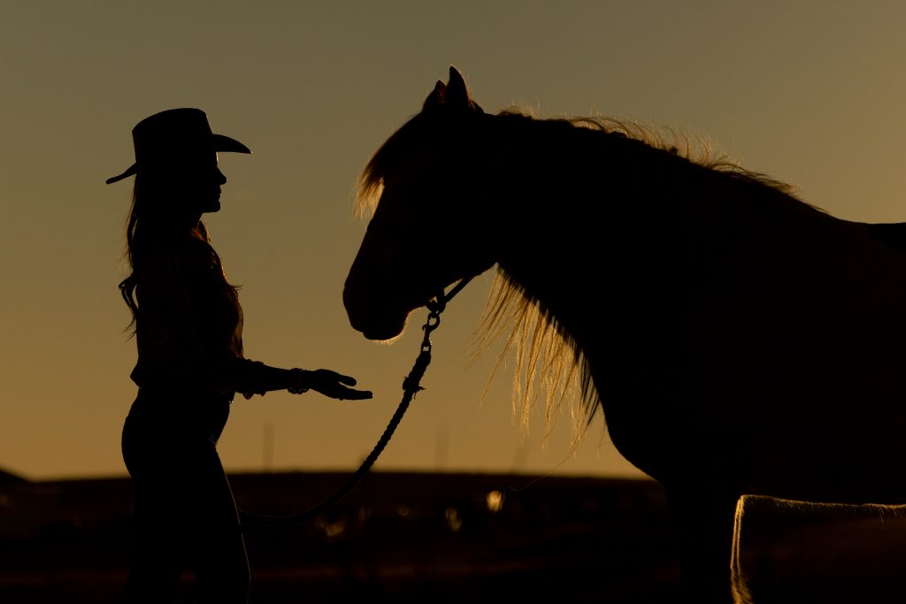 Horses Notice What We Avoid - Horse and Rider