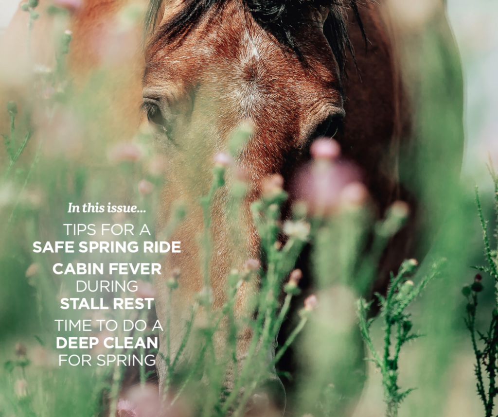 Volume 35: Get Ready to Spring into Action - Horse and Rider