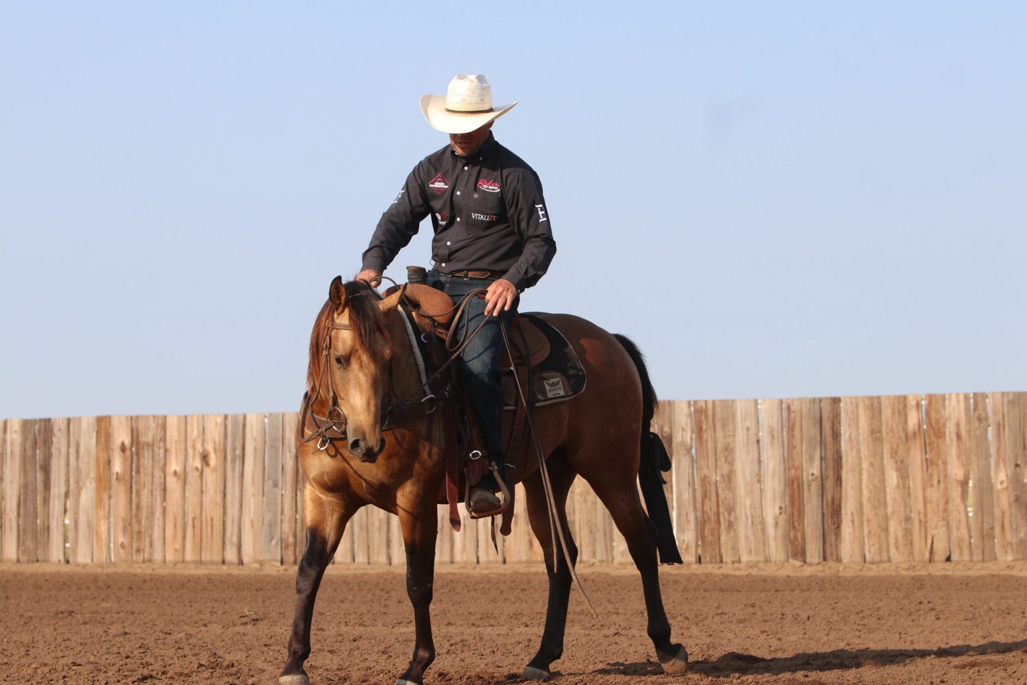 Colt-Starting: Teaching a Colt Softness with Miles Baker - Horse and Rider