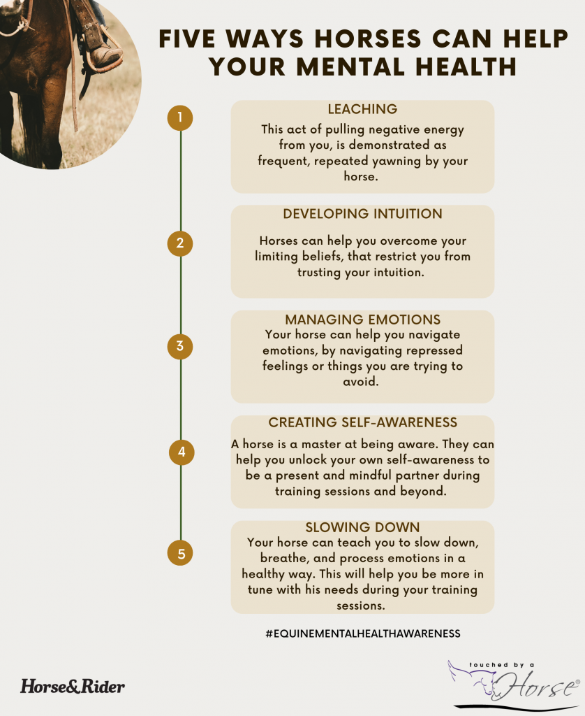 Yes, Horses Can Better Your Mental Health - Horse and Rider