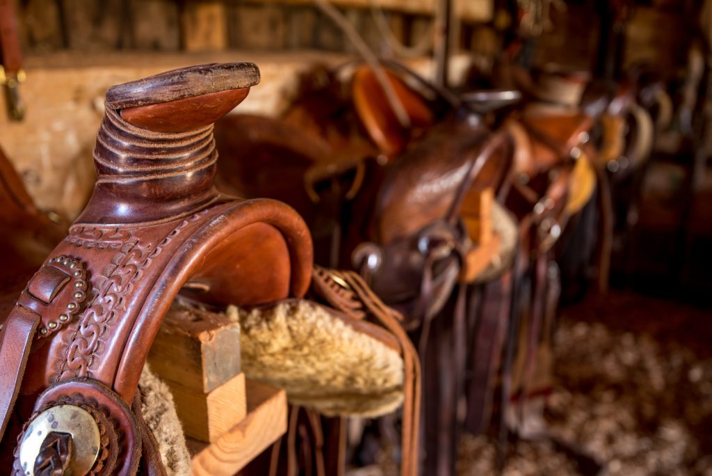 3 Common Saddle Fit Terms (And What They Mean) - Horse and Rider