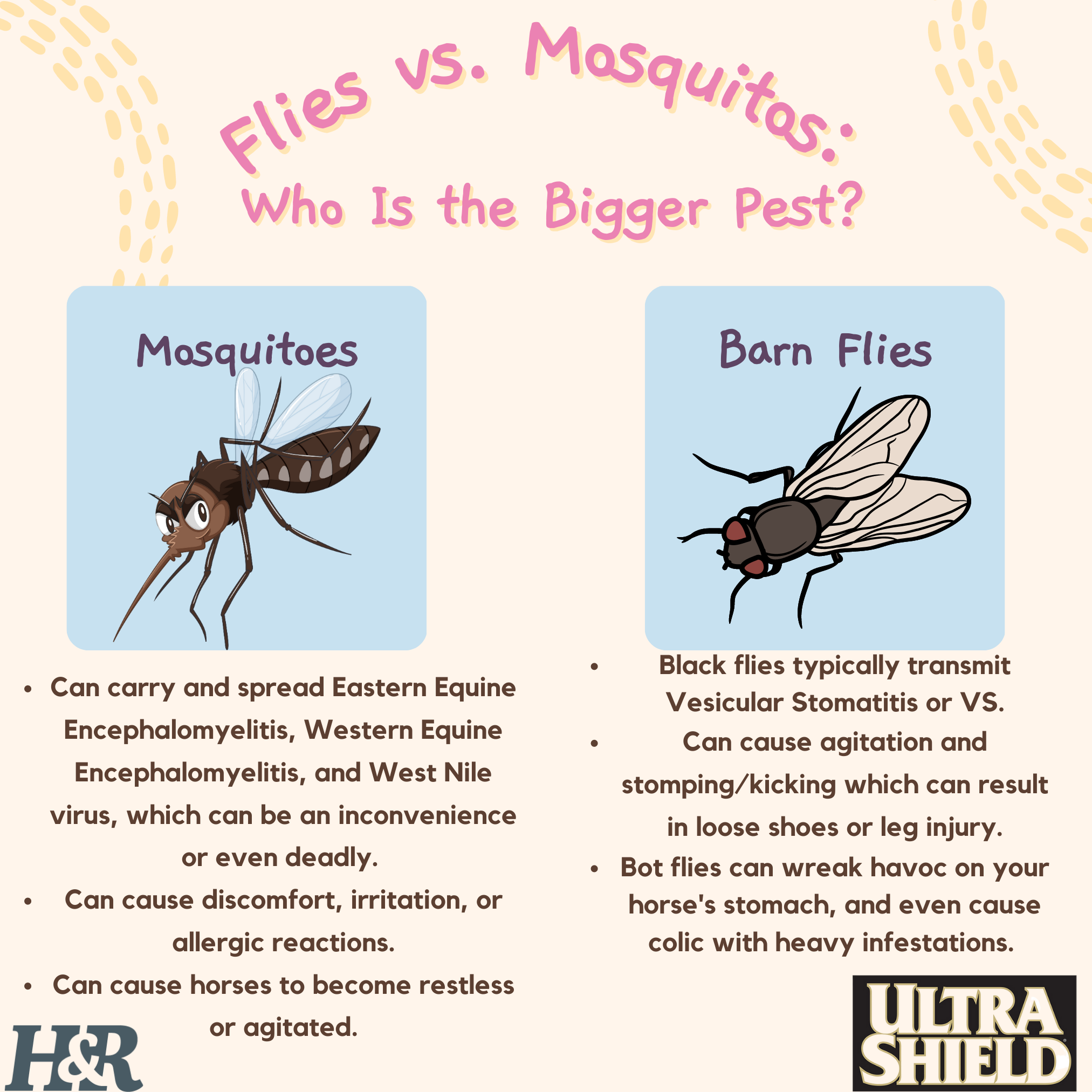 Battle of the Pests: Mosquitoes vs. Flies - Horse and Rider