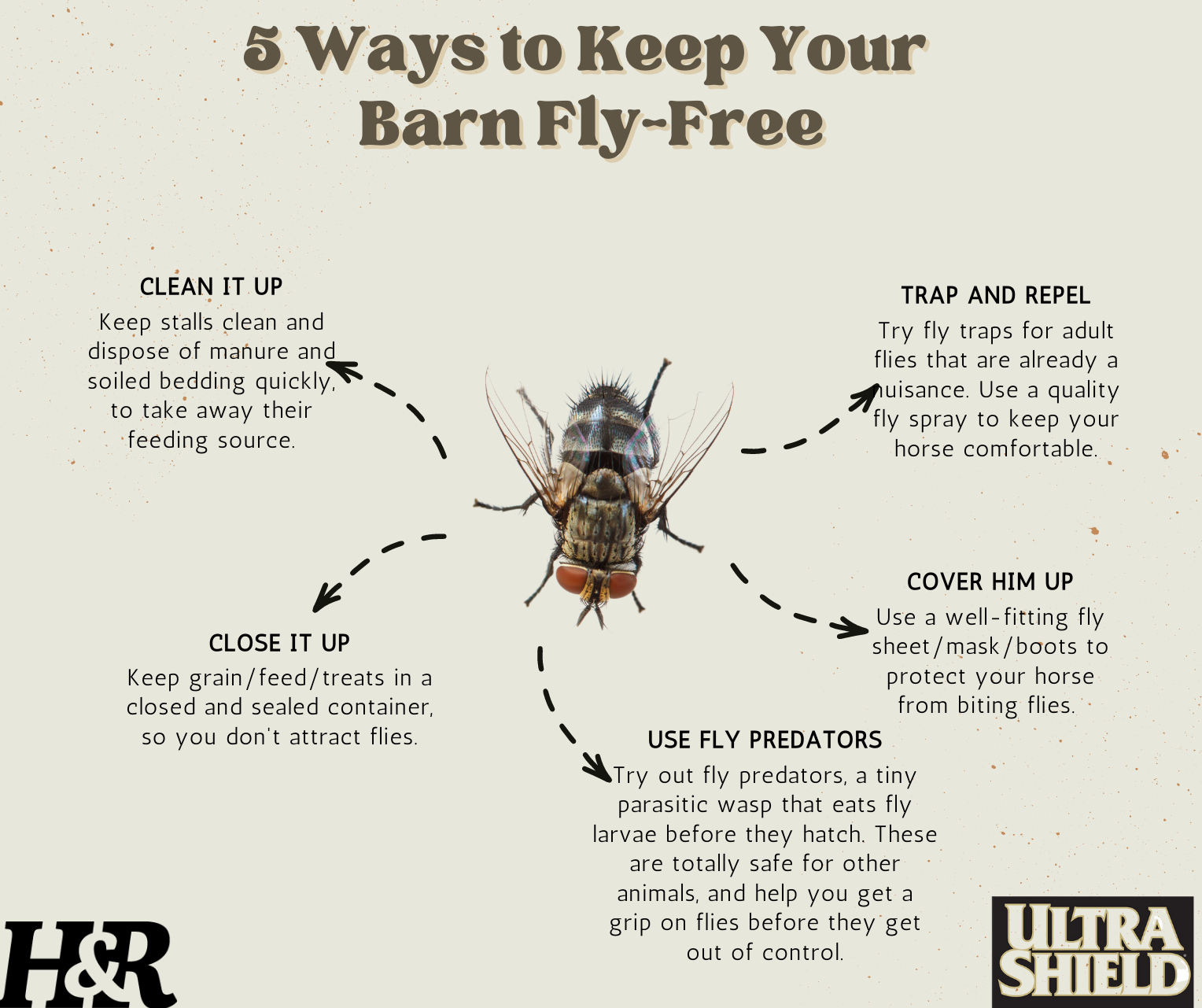 5 Simple Tips to Keep Your Barn Fly-Free - Horse and Rider