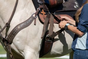 A Guide to Saddle Rigging - Horse and Rider