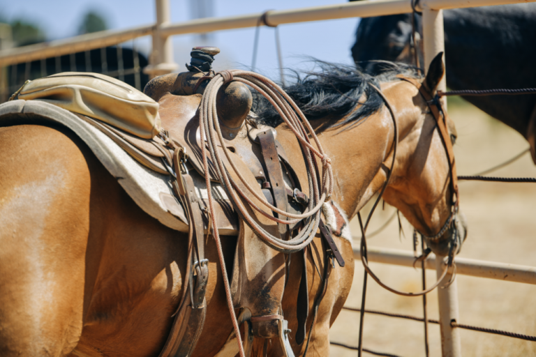 A Guide to Saddle Rigging - Horse and Rider