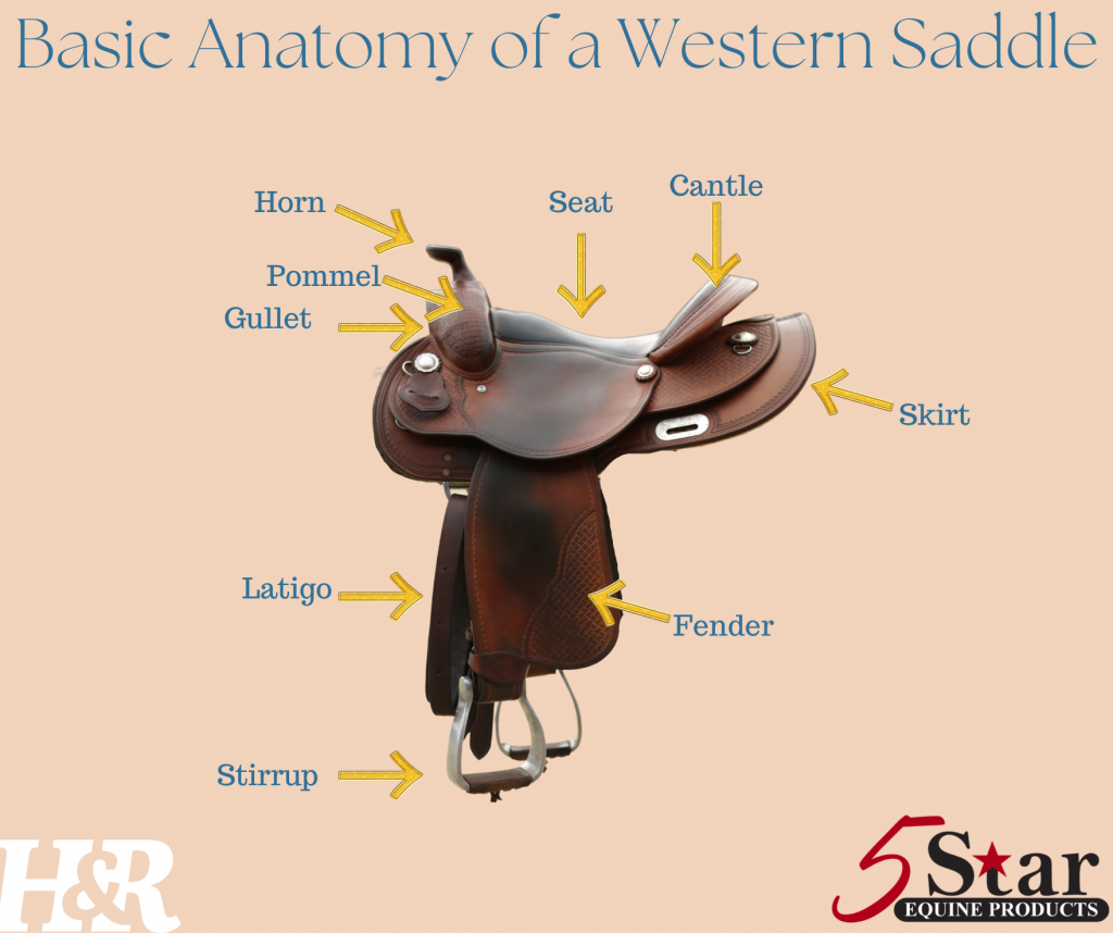 Basic Anatomy of a Western Saddle - Horse and Rider