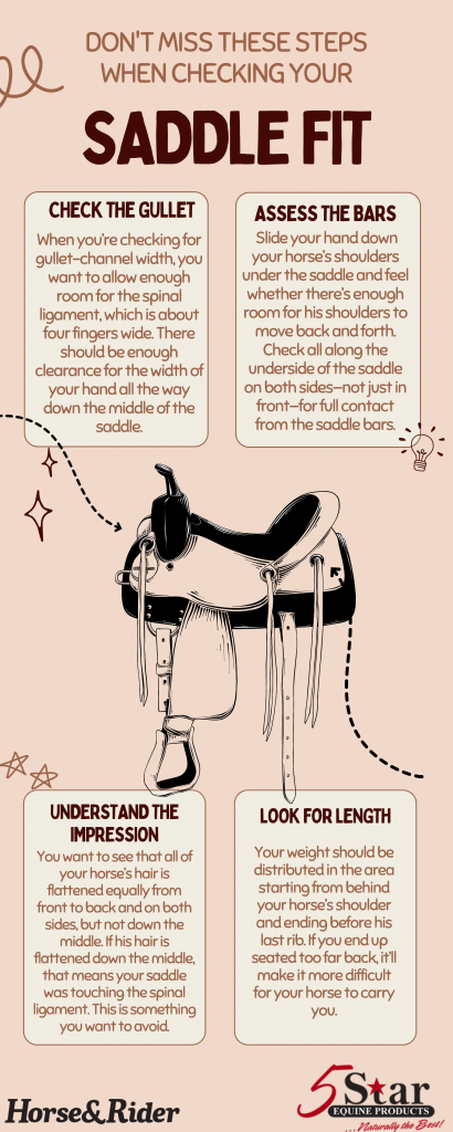 Four Reminders When Fitting a Saddle - Horse and Rider