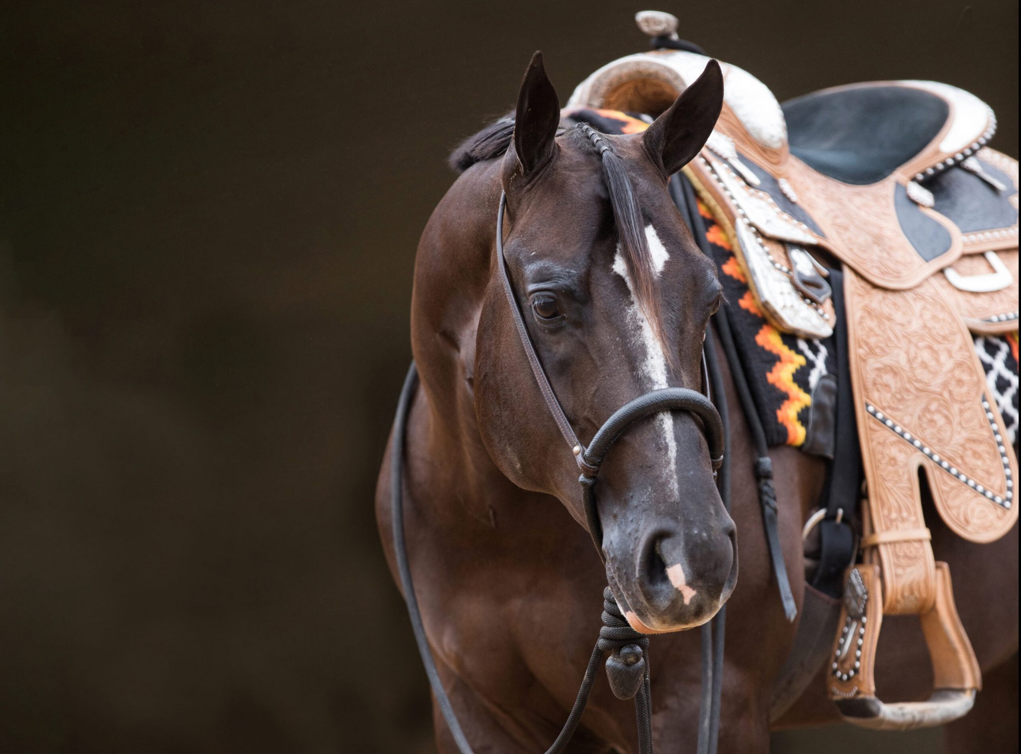 Horse saddles western store