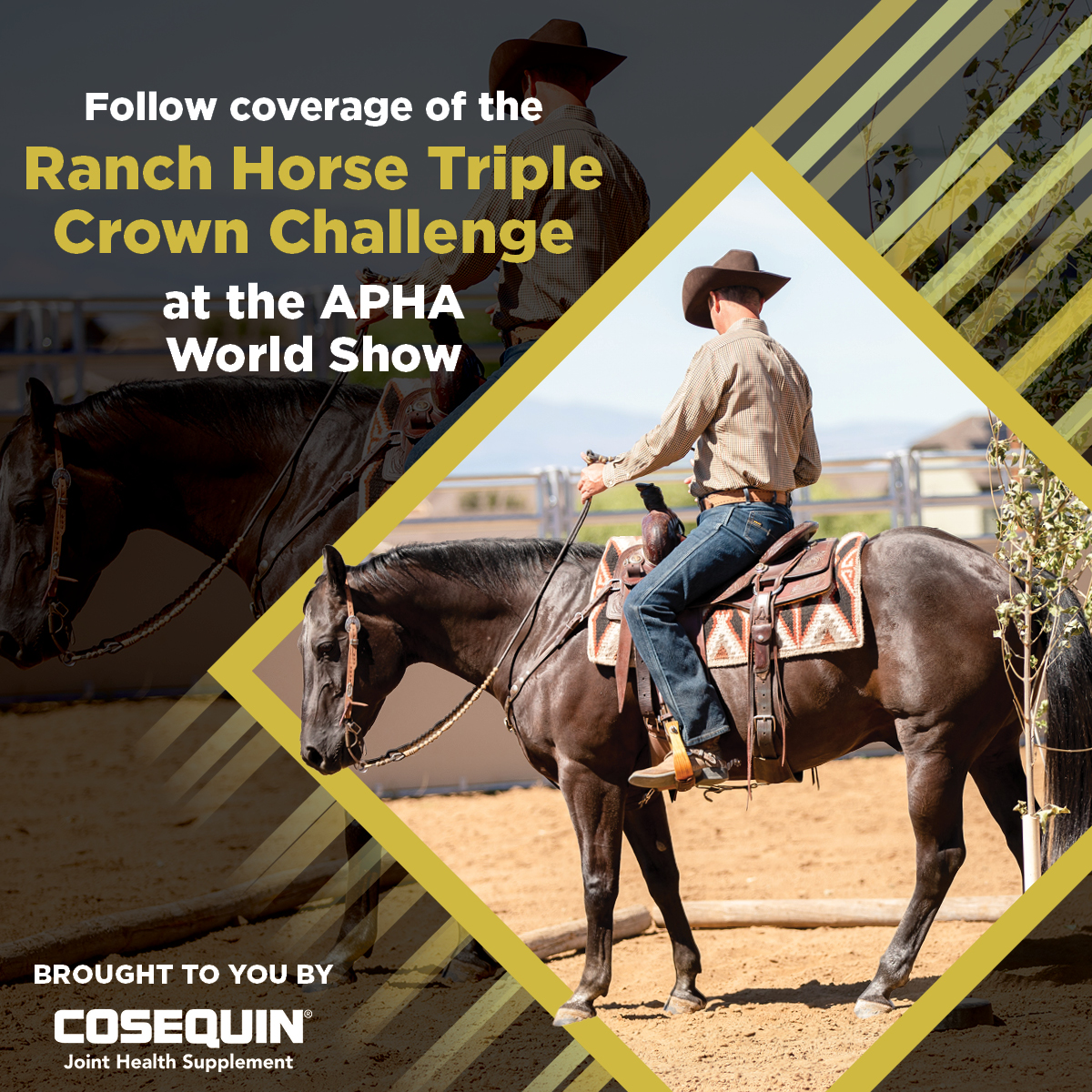 Everything You Need to Know About the Ranch Horse Triple Crown ...