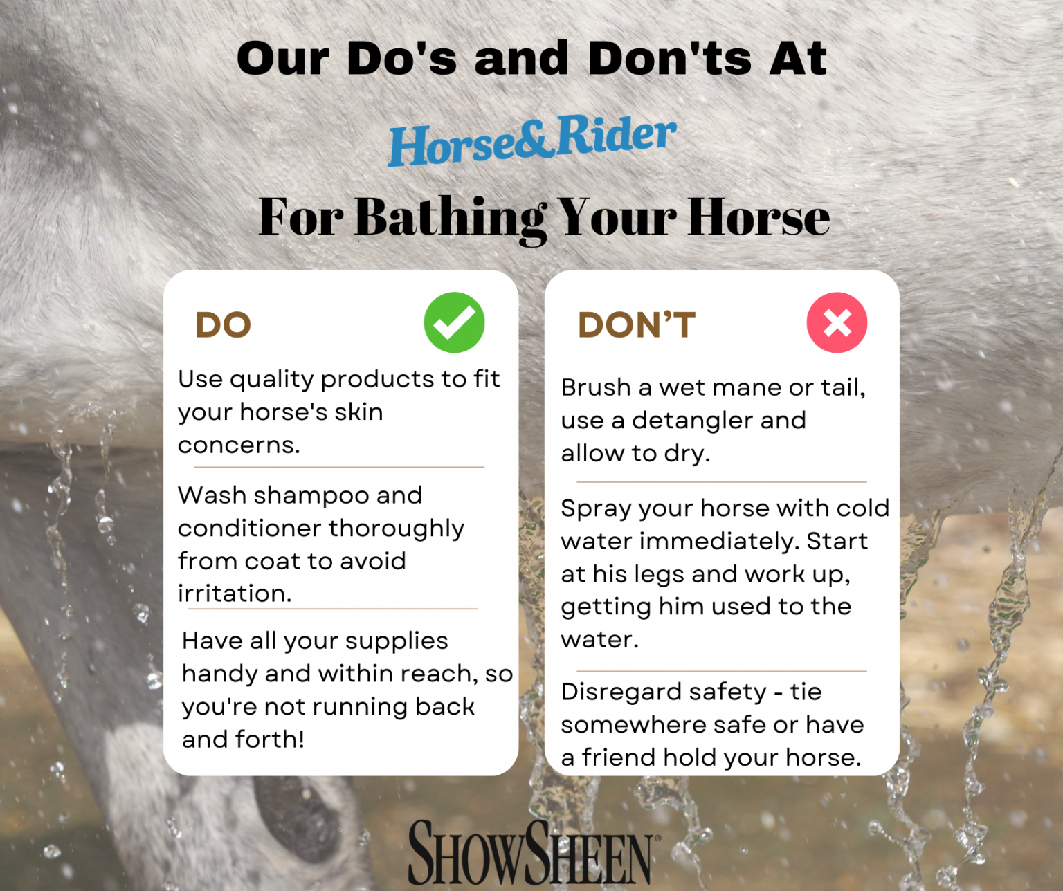 Simple Do's and Don'ts of Equine Bathing - Horse and Rider
