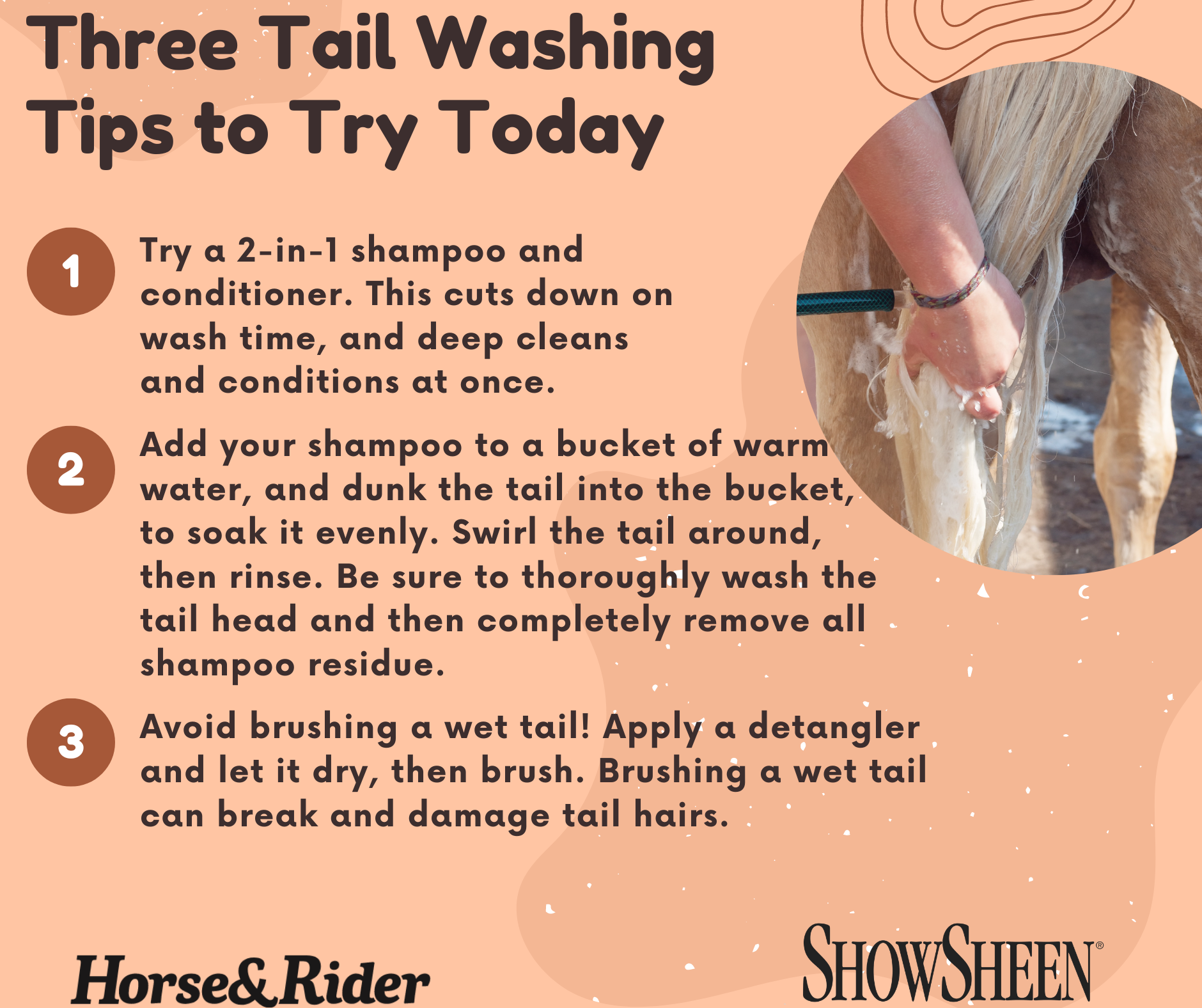 Three Tail Washing Tips to Try Today - Horse and Rider
