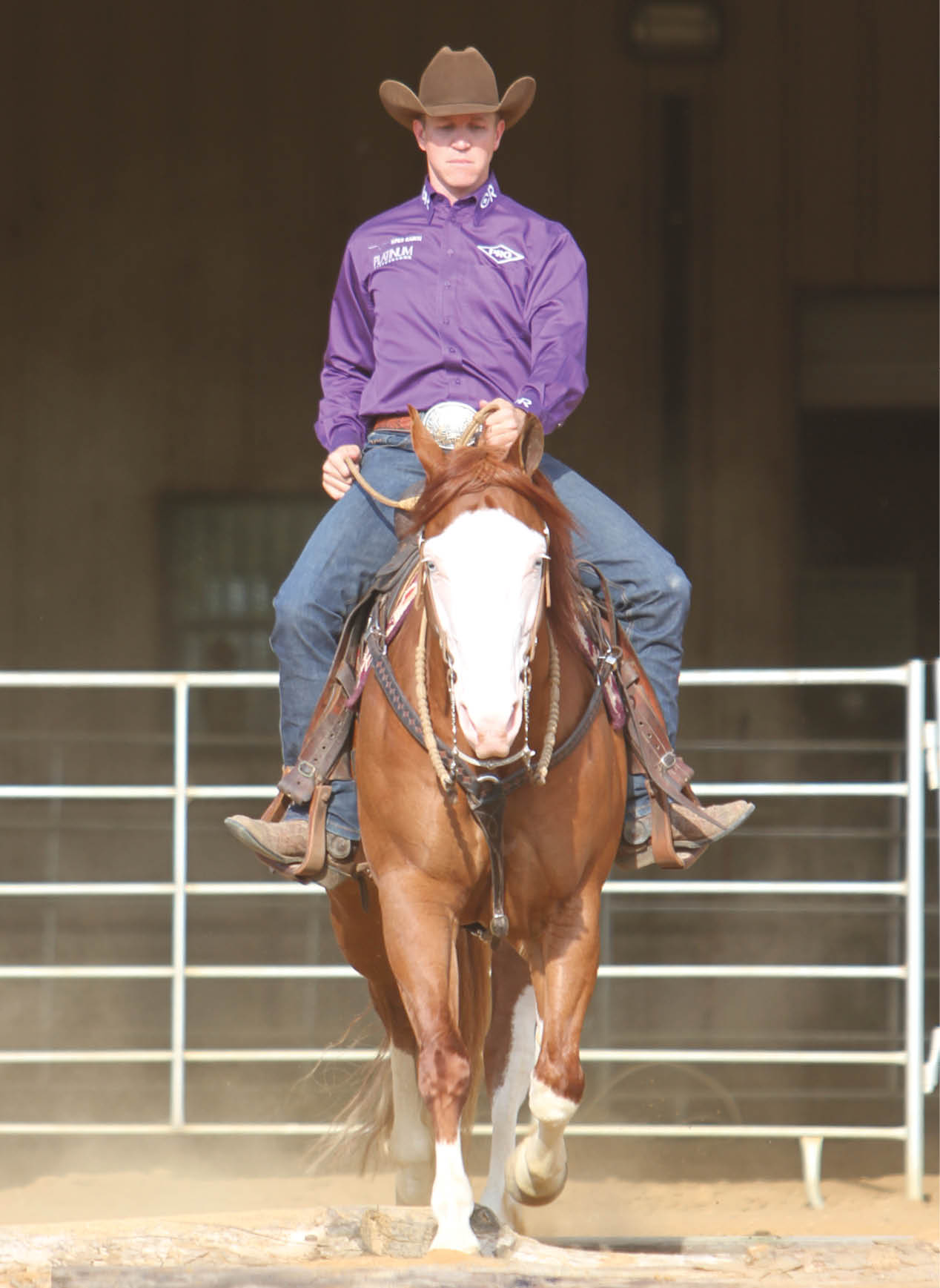 Ranch Riding Strategy - Horse and Rider