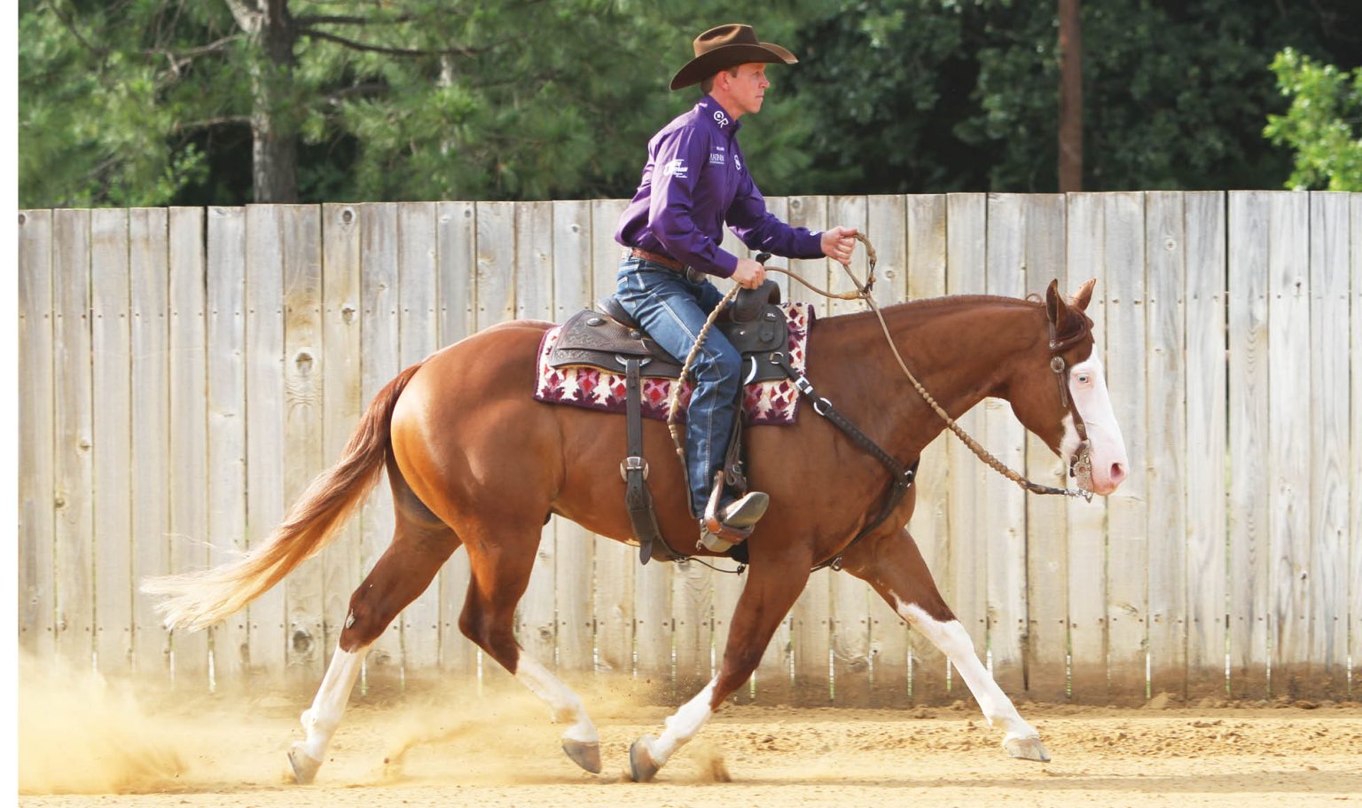 Ranch Riding Strategy - Horse and Rider