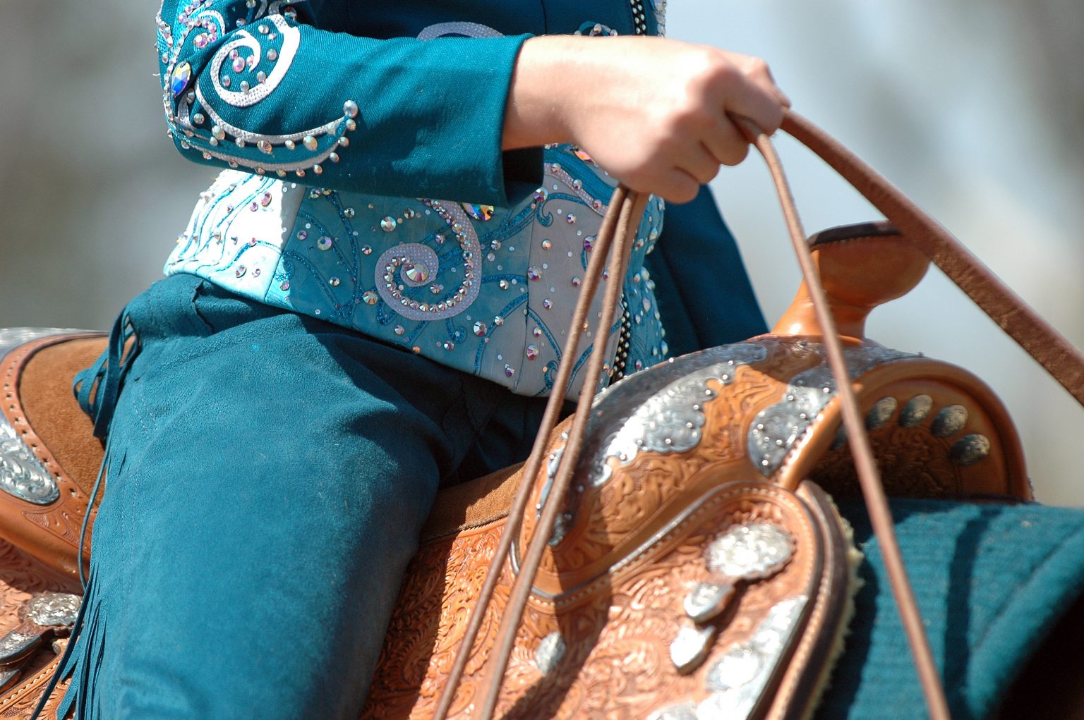 Choose the Right Reins