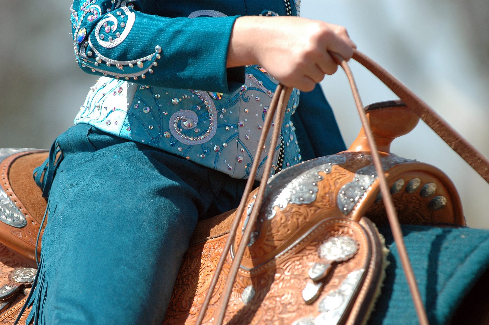 Choose the Right Reins