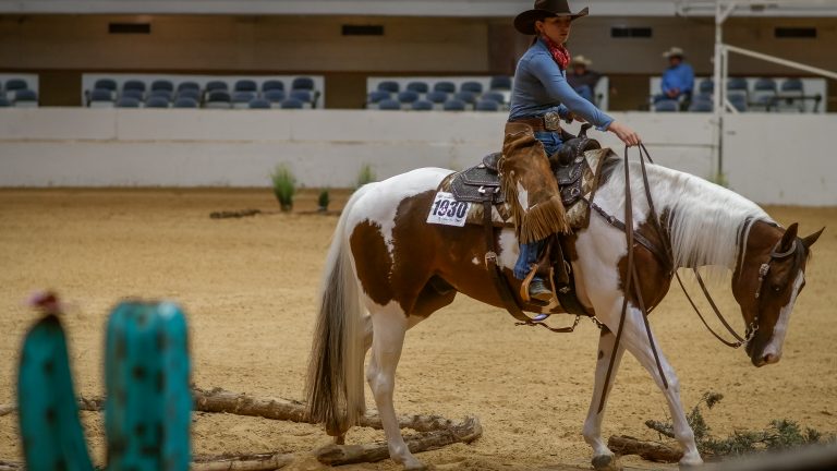 Can You Master These Common Ranch Trail Obstacles? - Horse and Rider