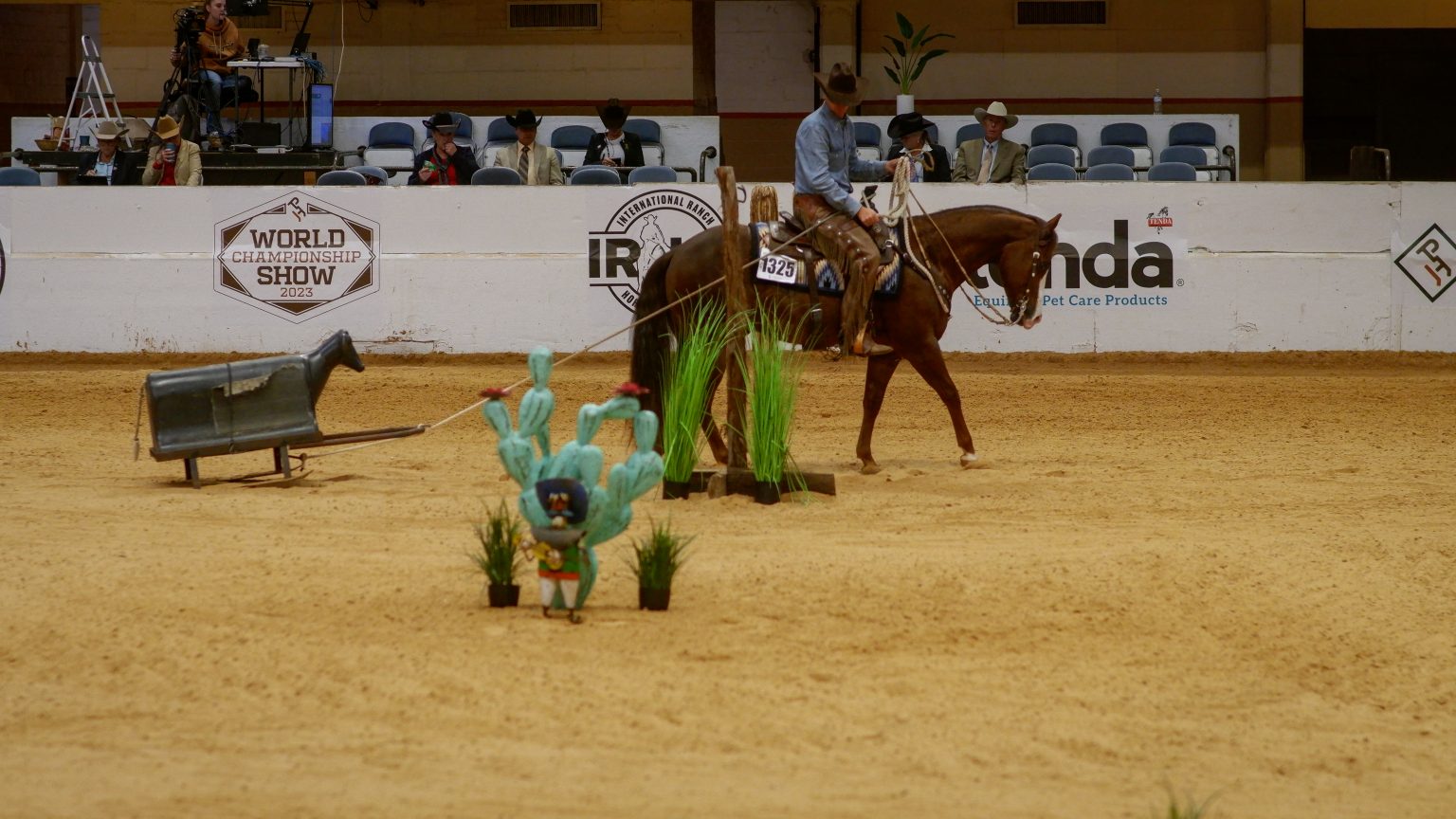 Can You Master These Common Ranch Trail Obstacles? - Horse and Rider