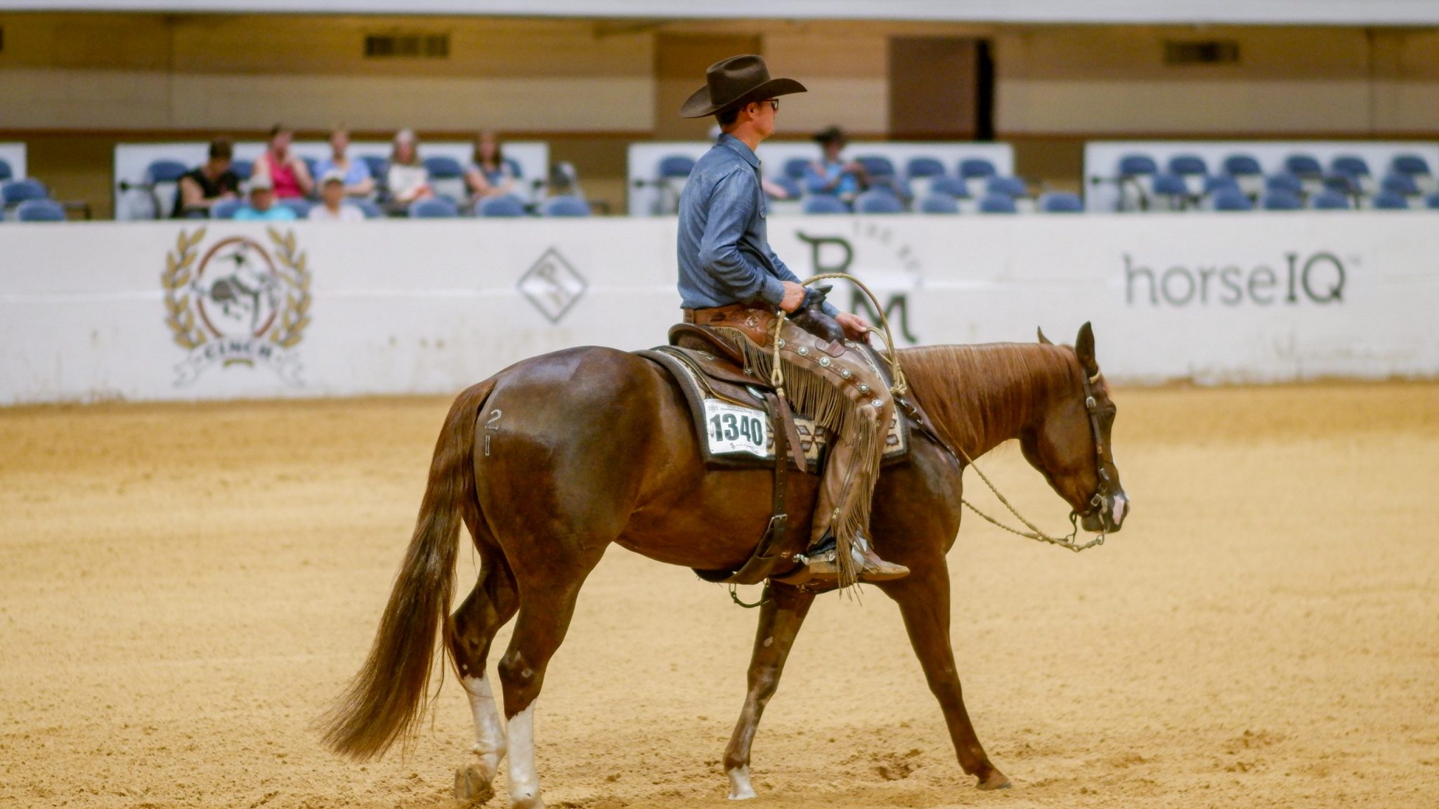 What's the Allure of the Ranch Horse Classes? - Horse and Rider