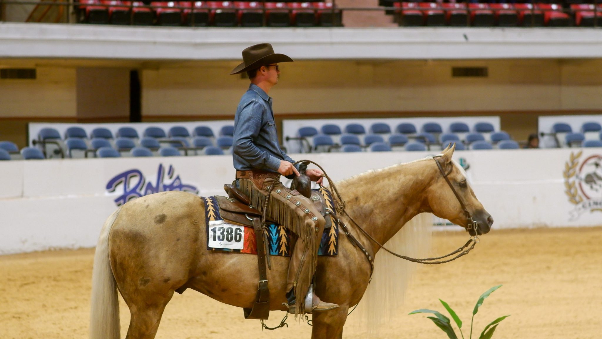 Breaking Down the Ranch Riding Experience - Horse and Rider