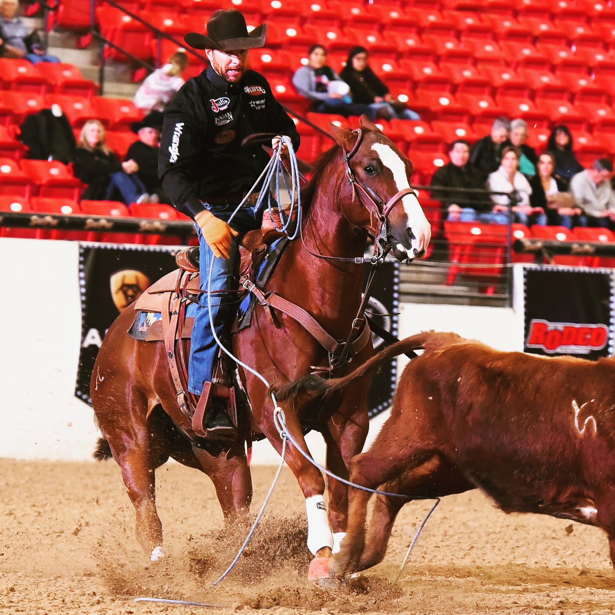 On the Road, With Family - Horse and Rider