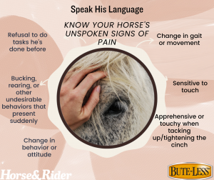 6 Simple Signs of Discomfort in Your Horse - Horse and Rider